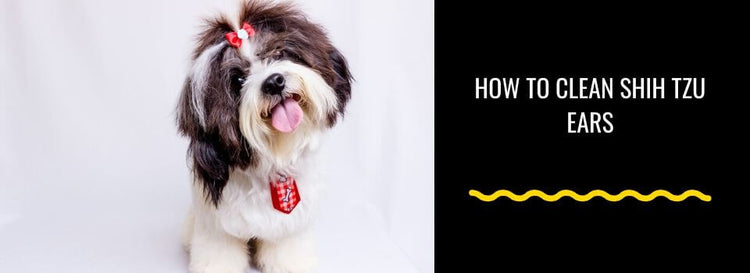 How to Clean Shih Tzu Ears - Step-by-Step Guide – Vet Organics