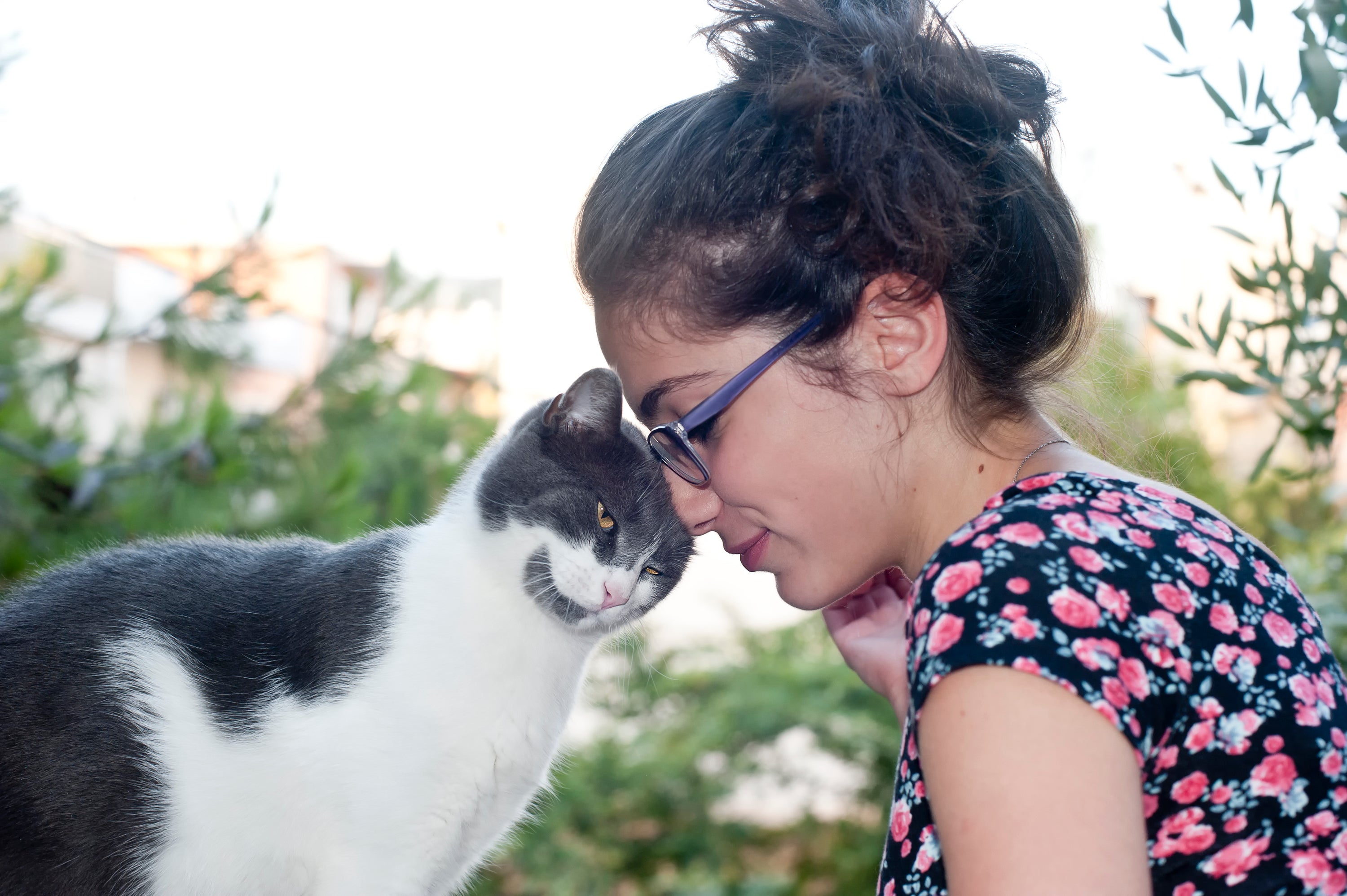Cat Head Bunting: What It Means And How To Respond | Vet Organics