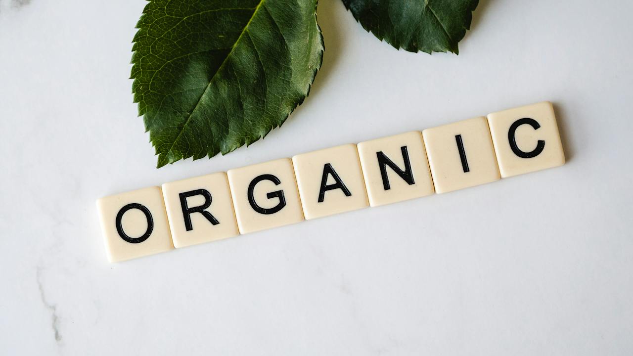 Organic vs Conventional Products in Your Pet's Health – Vet Organics