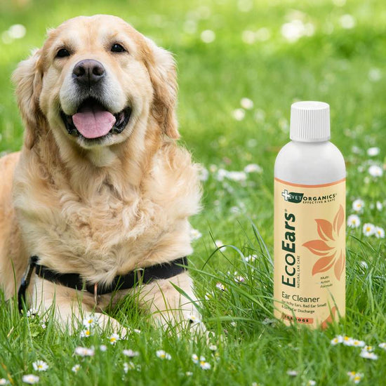 EcoEars® Dog Ear Infection Formula – Dog Ear Cleaner – Vet Organics