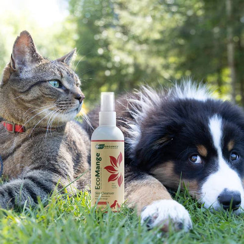 EcoMange Mange Treatment for Dogs & Cats with Demodectic or Sarcoptic ...